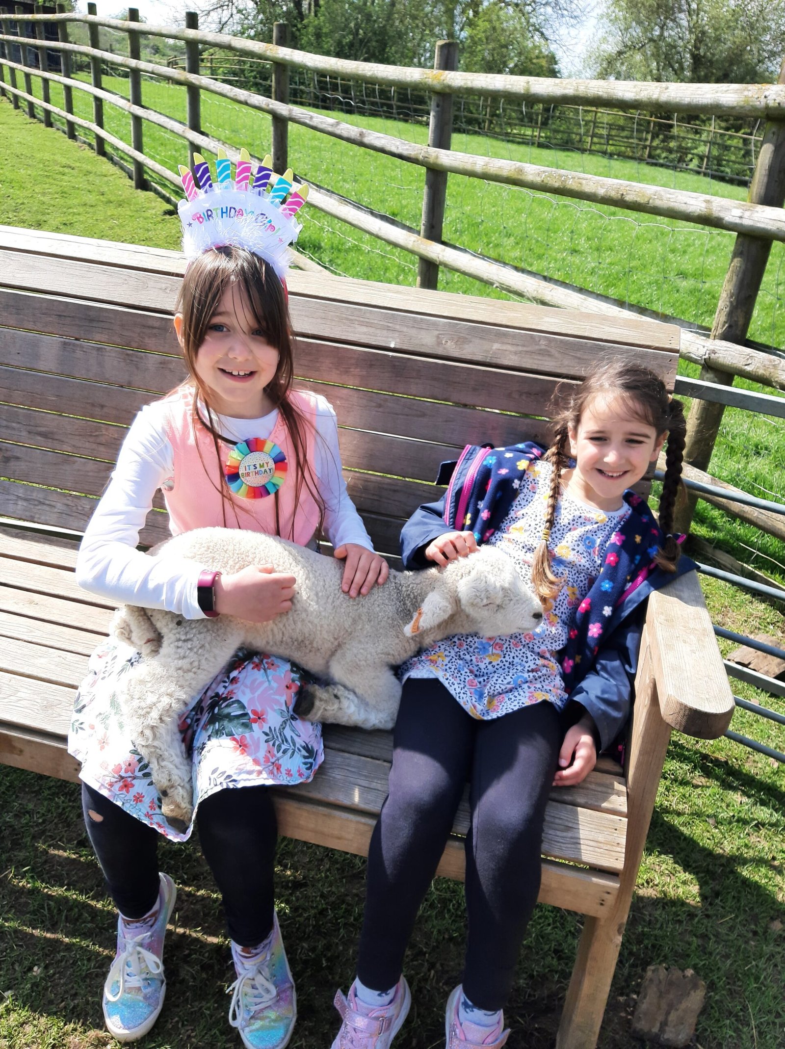 Discover the Best Farms and Petting Zoos in Suffolk